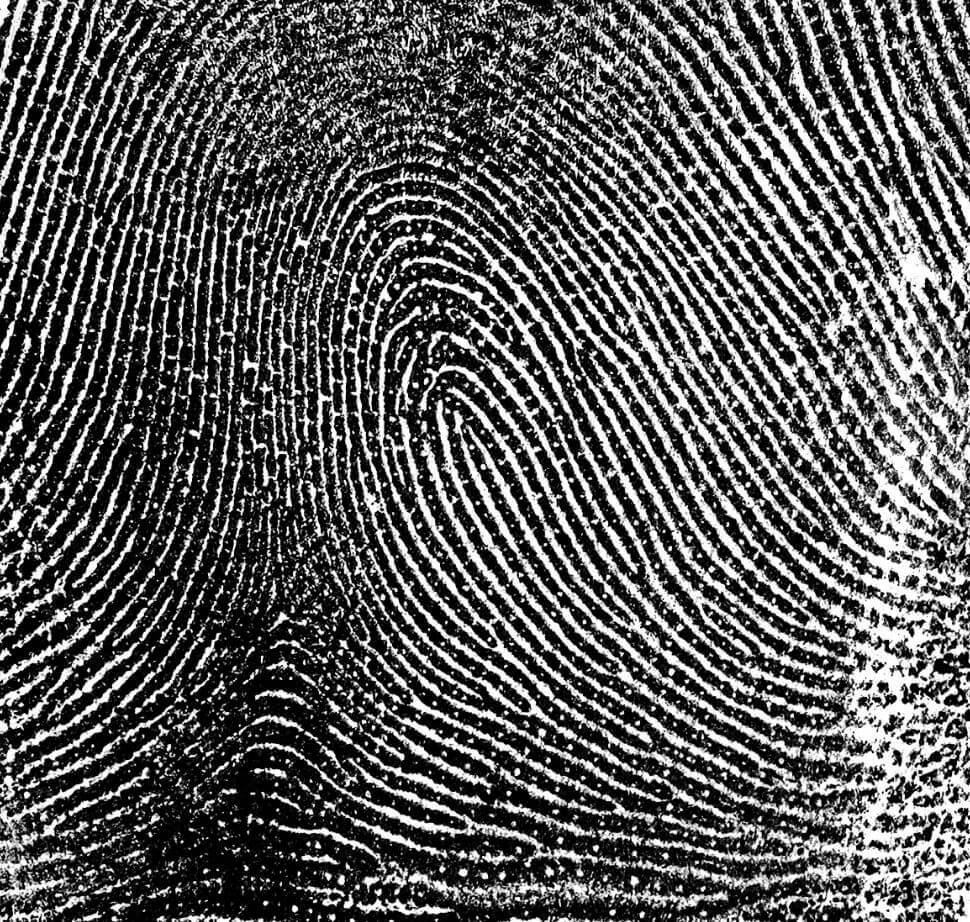 Fingerprinting Service First United Bank And Trust